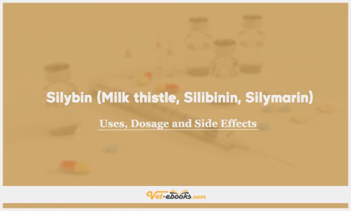 Silybin (Milk thistle, Silibinin, Silymarin) Dose For Dogs & Cats | Vet ...