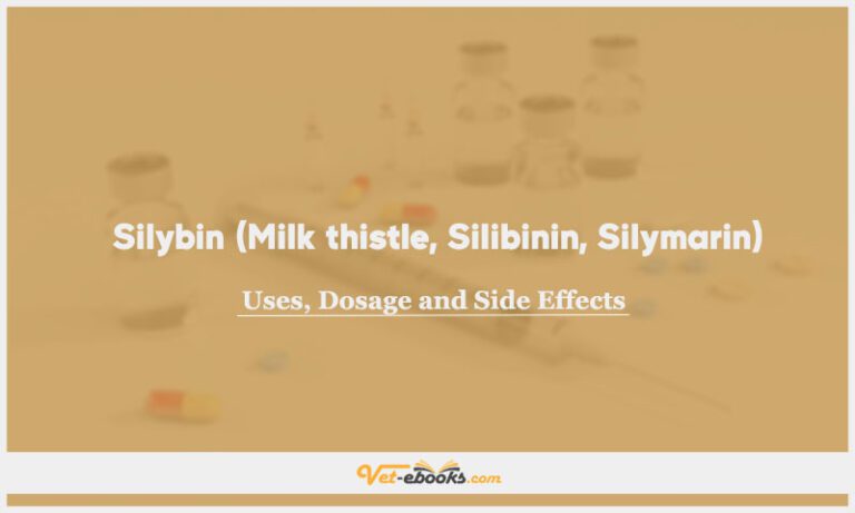 Silybin (Milk thistle, Silibinin, Silymarin) Dose For Dogs & Cats | Vet ...