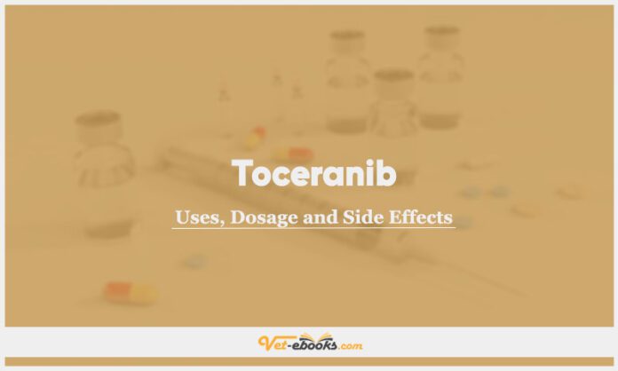 Toceranib Dose For Dogs & Cats | Vet Drugs List