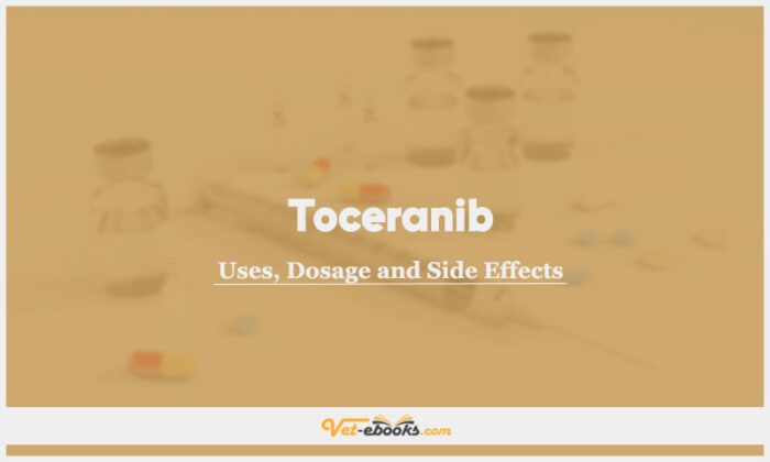 Toceranib Dose For Dogs & Cats | Vet Drugs List