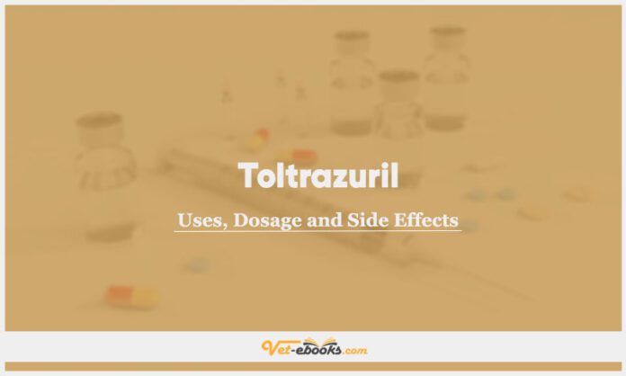 Toltrazuril Dose For Dogs & Cats | Vet Drugs List