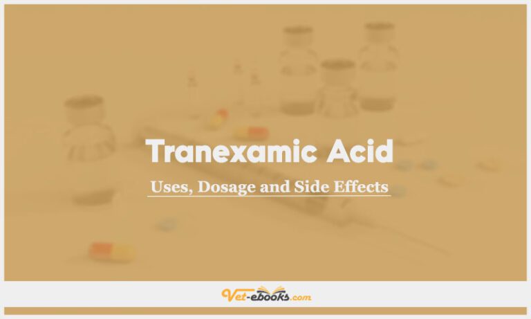 Tranexamic Acid Dose For Dogs & Cats | Vet Drugs List