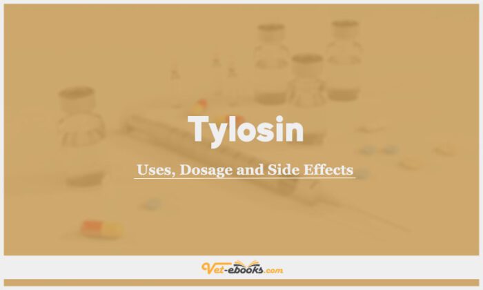 Tylosin Dose For Dogs & Cats | Vet Drugs List