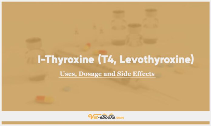 l-Thyroxine (T4, Levothyroxine) Dose For Dogs & Cats | Vet Drugs List