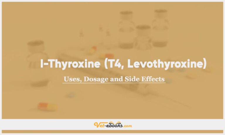 l-Thyroxine (T4, Levothyroxine) Dose For Dogs & Cats | Vet Drugs List