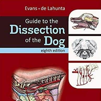 Guide to the Dissection of the Dog 8th Edition PDF | Vet eBooks