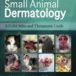 Small Animal Dermatology 4th Edition: A Color Atlas and Therapeutic ...