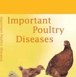 Important Poultry Diseases PDF | Vet eBooks
