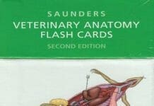Saunders Veterinary Anatomy Flash Cards 2nd Edition PDF | Vet eBooks