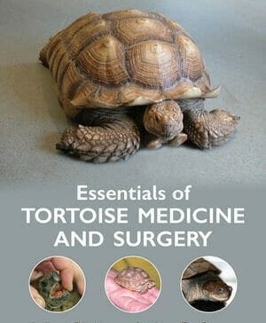 Surgery Veterinary Books PDF | Veterinary eBooks