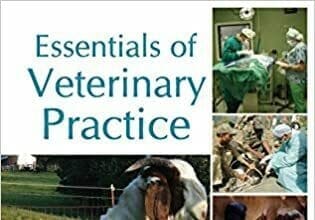 7 Essential Skills For Improving Communication In Veterinary Practice
