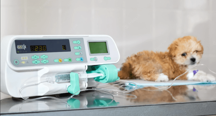 List Of Veterinary Equipment and Tools Essential For Your Vet Clinic ...