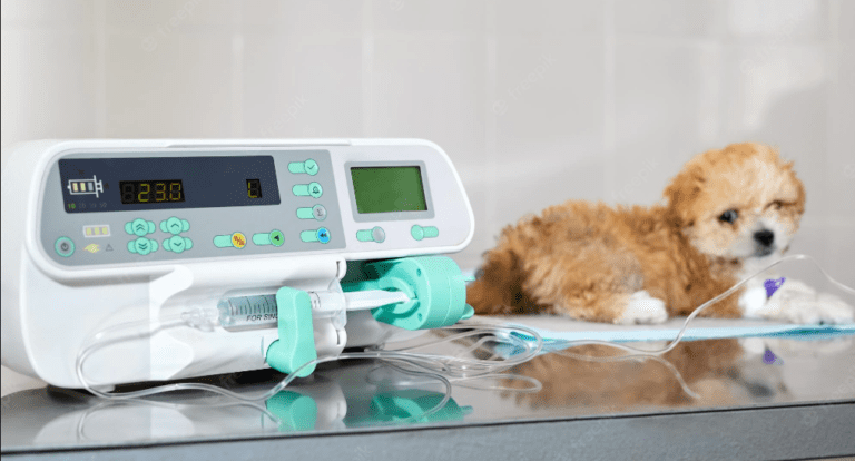 List of Veterinary Equipment & Tools Essential For Vet Clinics (2026)