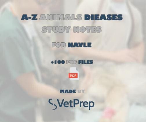 Navle Study Guide PDF: A-Z Animals Diseases Study Notes | Vet eBooks