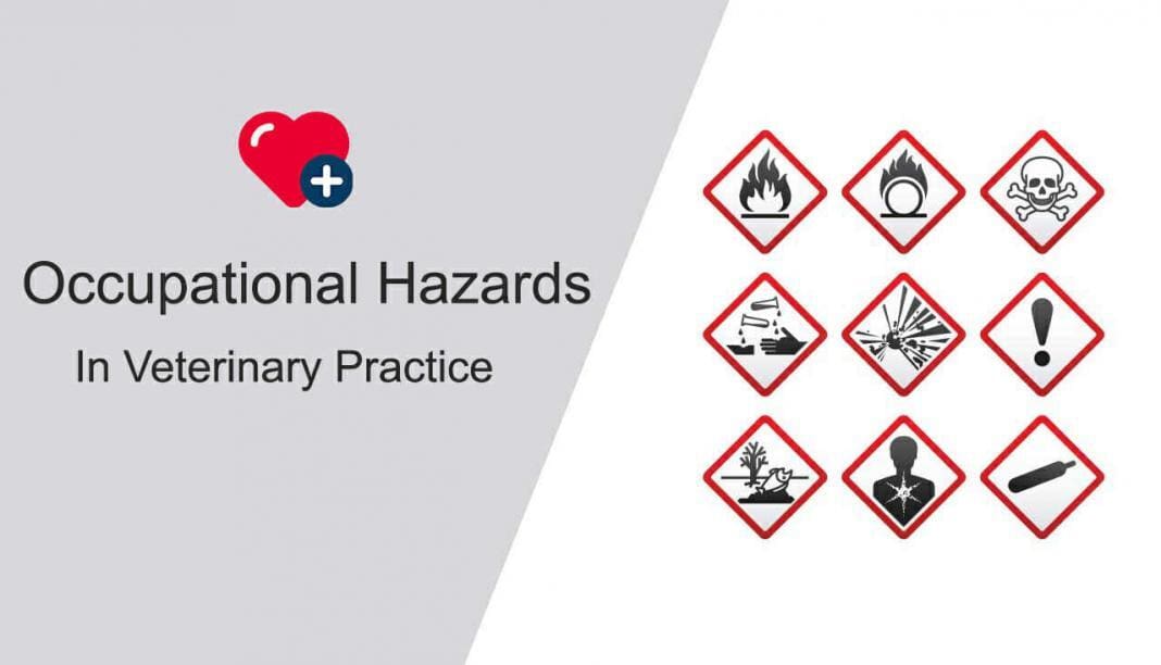 Occupational Hazards in Veterinary Practice