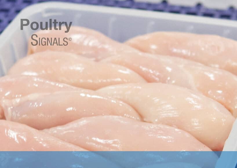 Vet eBooks | Veterinary Books PDF Library