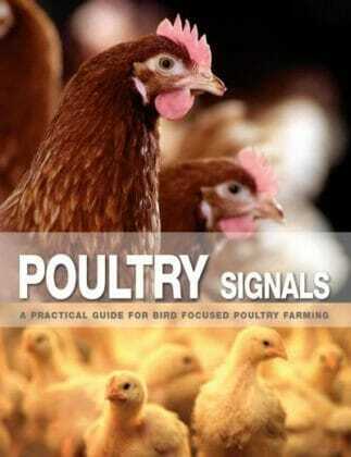 Broiler Signals, A Practical Guide to Broiler Focused Management PDF ...