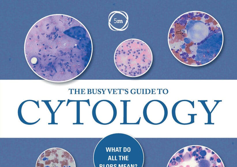 Alberts Molecular Biology of the Cell 7th Edition PDF